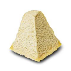 La Maison Du Fromage | Shop