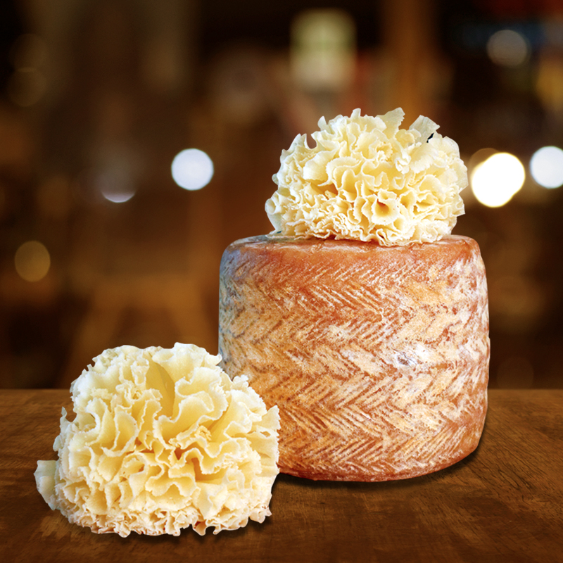 SB Admin 2 - Dashboard