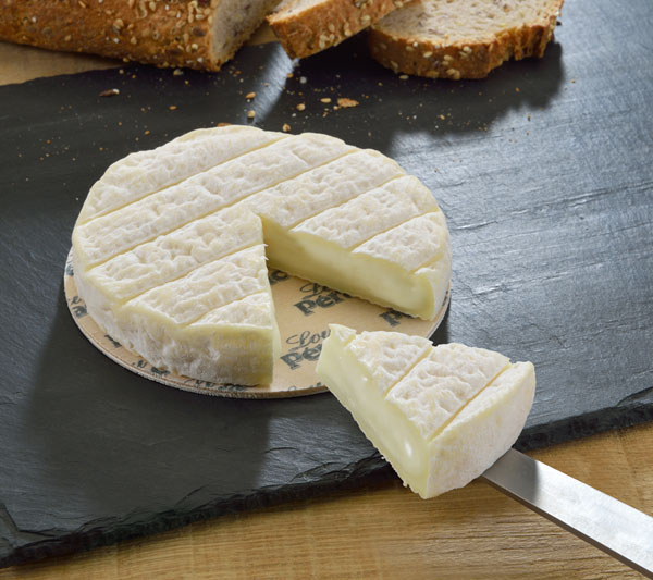 SB Admin 2 - Dashboard